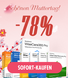 WiseCleaner - Frequently Asked Questions